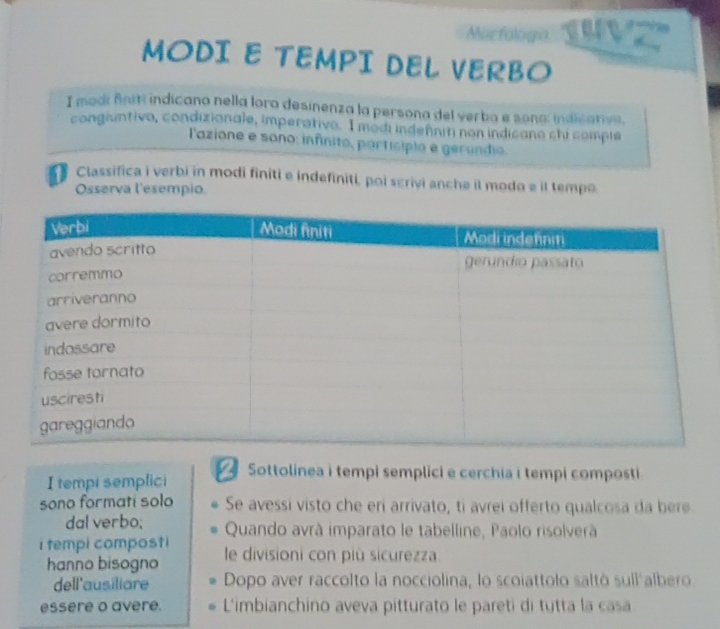 Risolto:Marfologn she MODI E TEMPI DEL VERBO I modi fniti indicano ...
