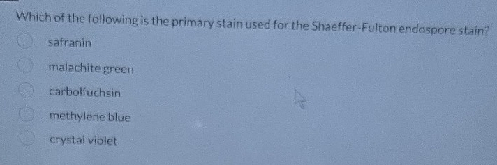 Solved: Which of the following is the primary stain used for the ...