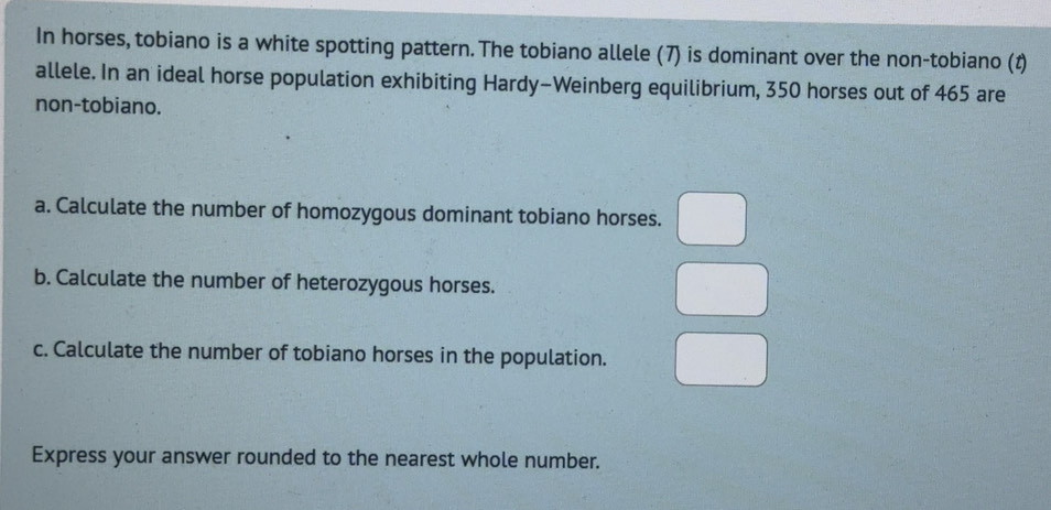 Solved: In horses, tobiano is a white spotting pattern. The tobiano ...