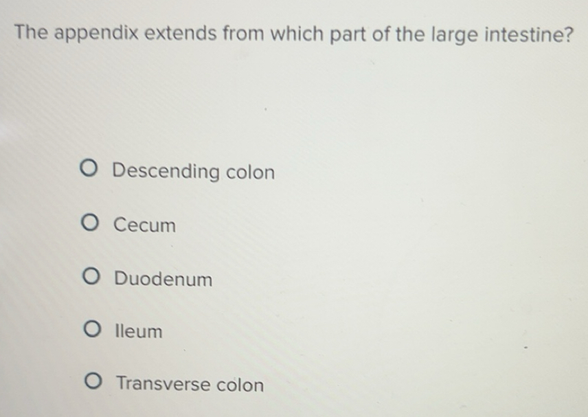 Solved: The appendix extends from which part of the large intestine ...