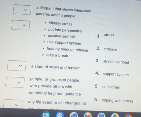 Solved: a diagram that shows interaction patterns among people identify ...