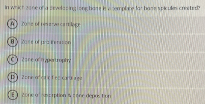 Solved: In which zone of a developing long bone is a template for bone ...