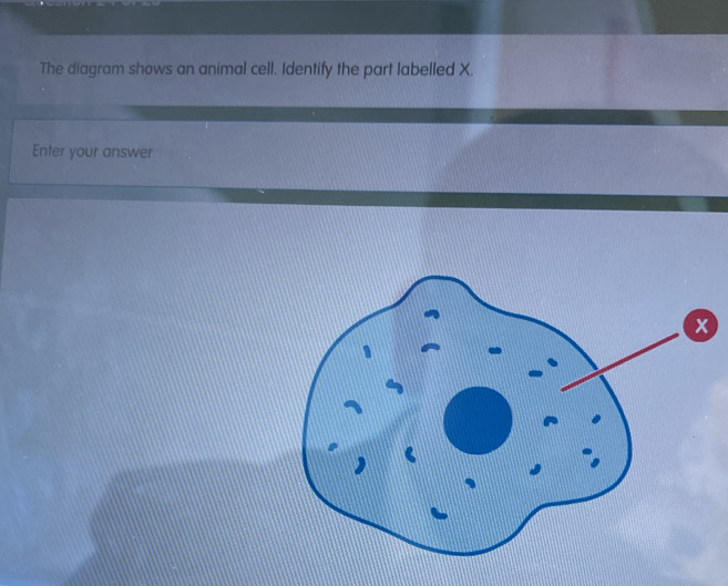 Solved: The diagram shows an animal cell. Identify the part labelled X, Enter your answer x 1 ...