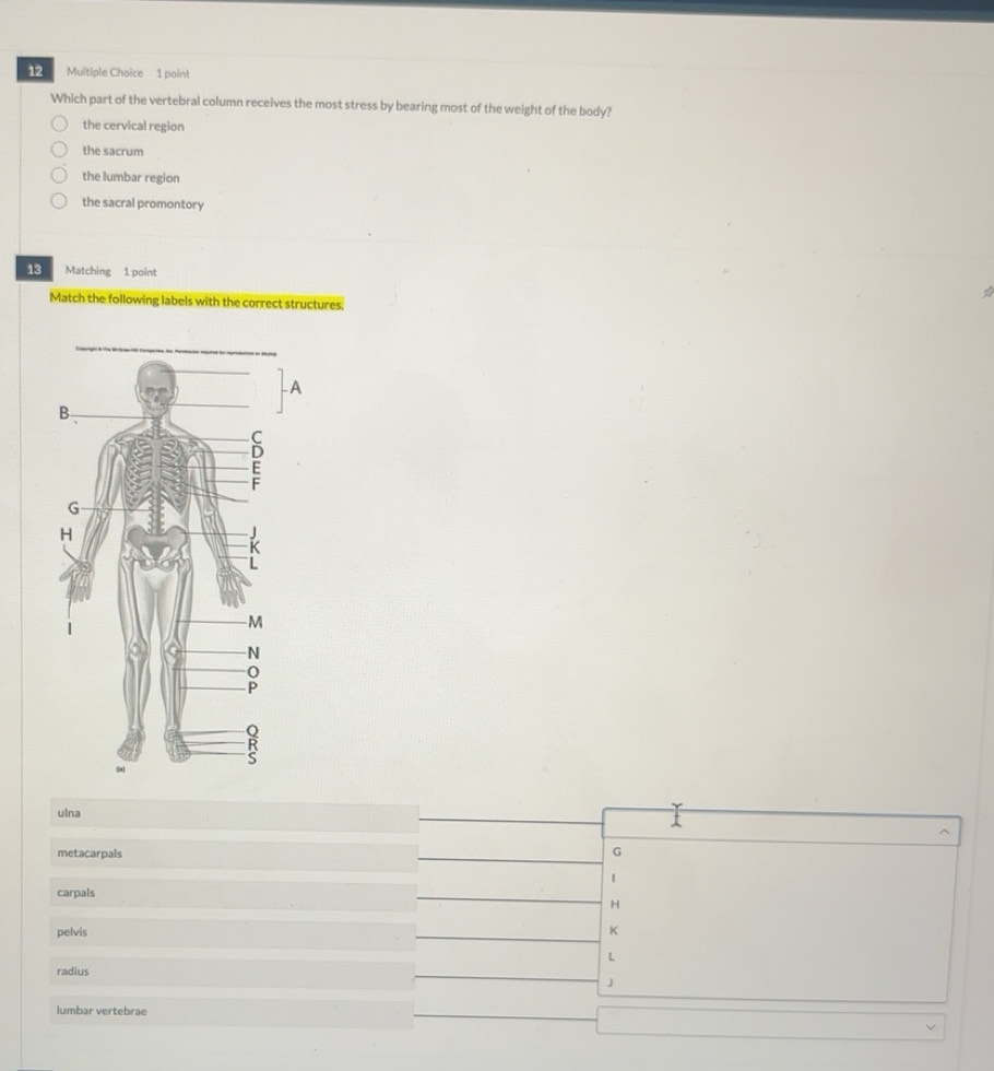 Solved: Which part of the vertebral column receives the most stress by ...