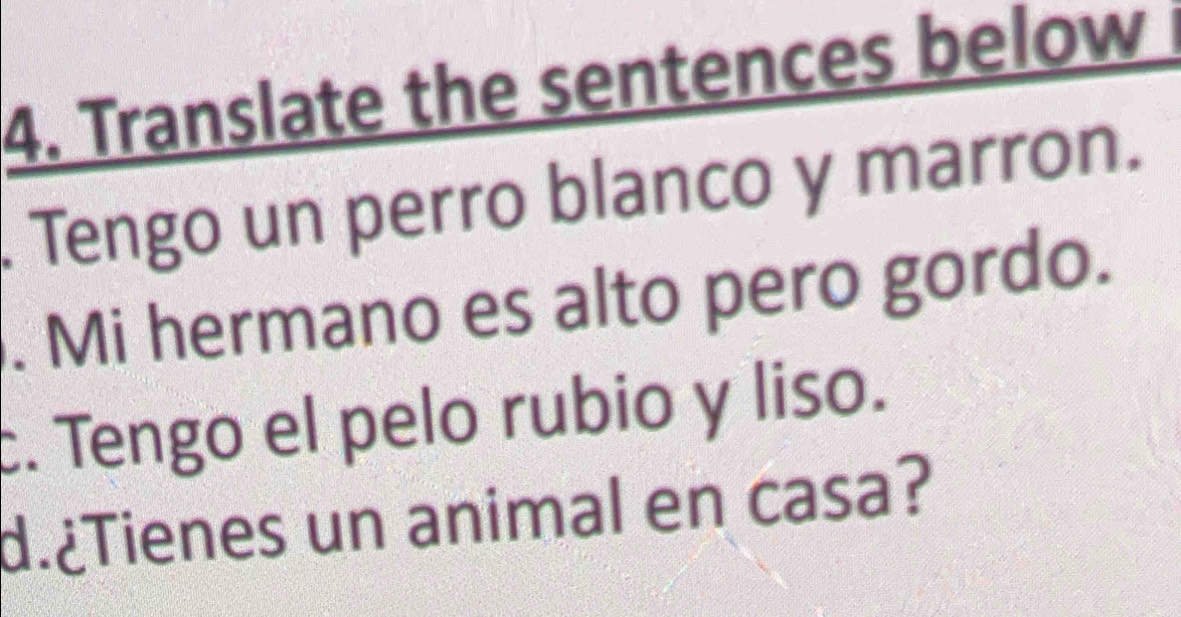Solved: Translate the sentences below Tengo un perro blanco y marron ...