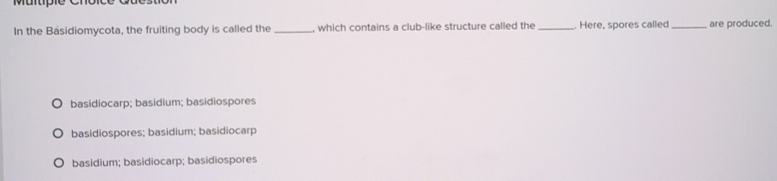Solved: In the Basidiomycota, the fruiting body is called the _ which ...