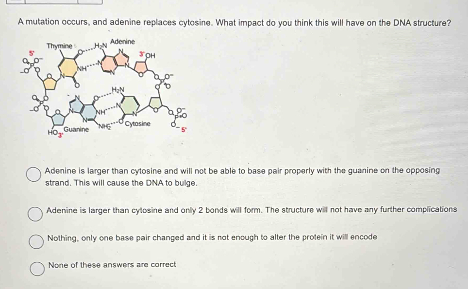 Solved: A mutation occurs, and adenine replaces cytosine. What impact ...