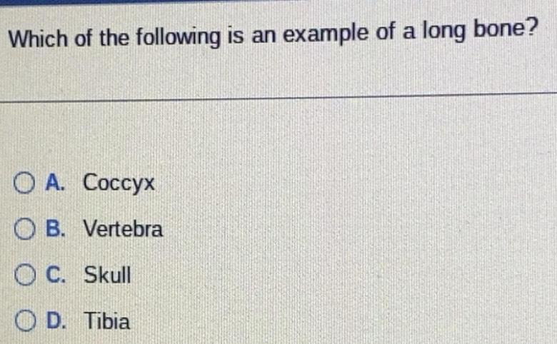 Solved: Which of the following is an example of a long bone? A. Coccyx ...