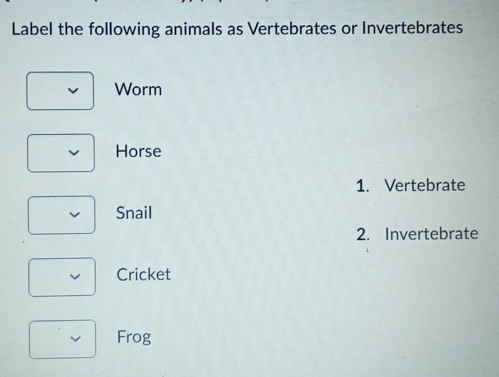Solved: Label the following animals as Vertebrates or Invertebrates ...