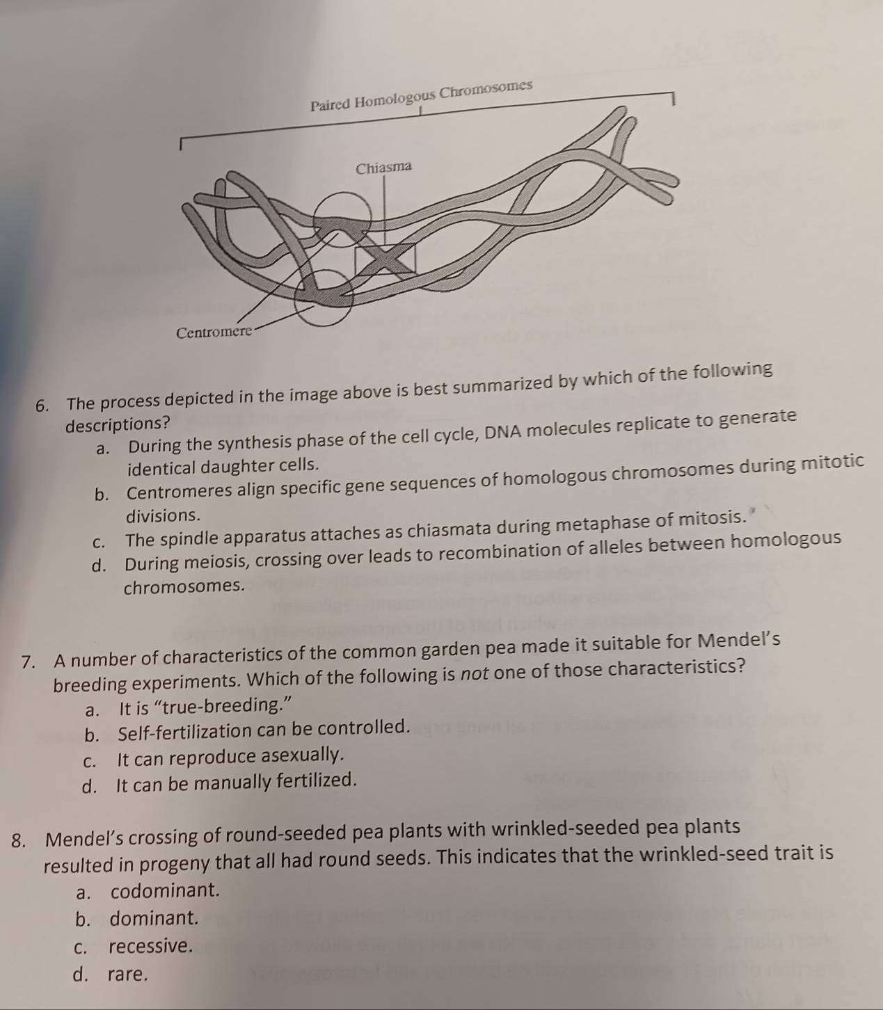 Solved: The process depicted in the image above is best summarized by ...