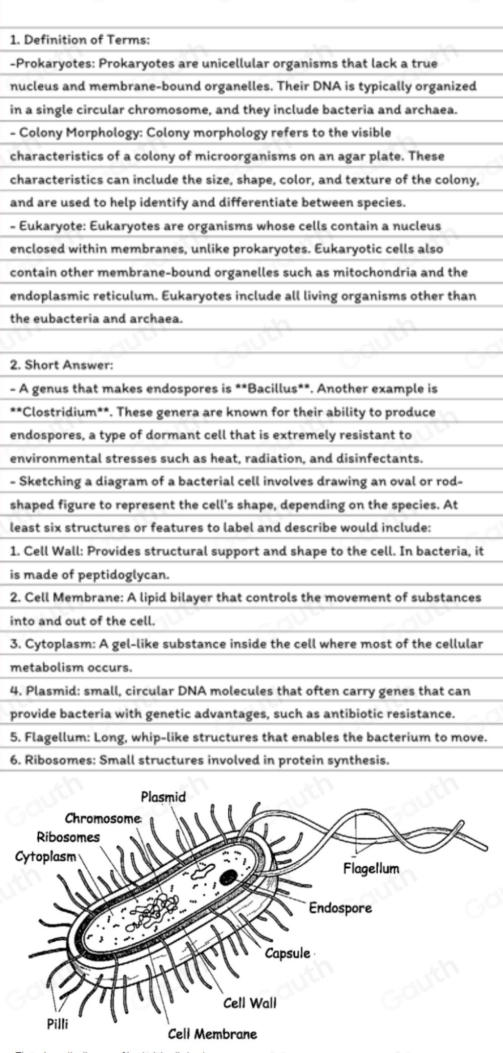 Solved: Definitions: In at least one sentence, describe and define the ...