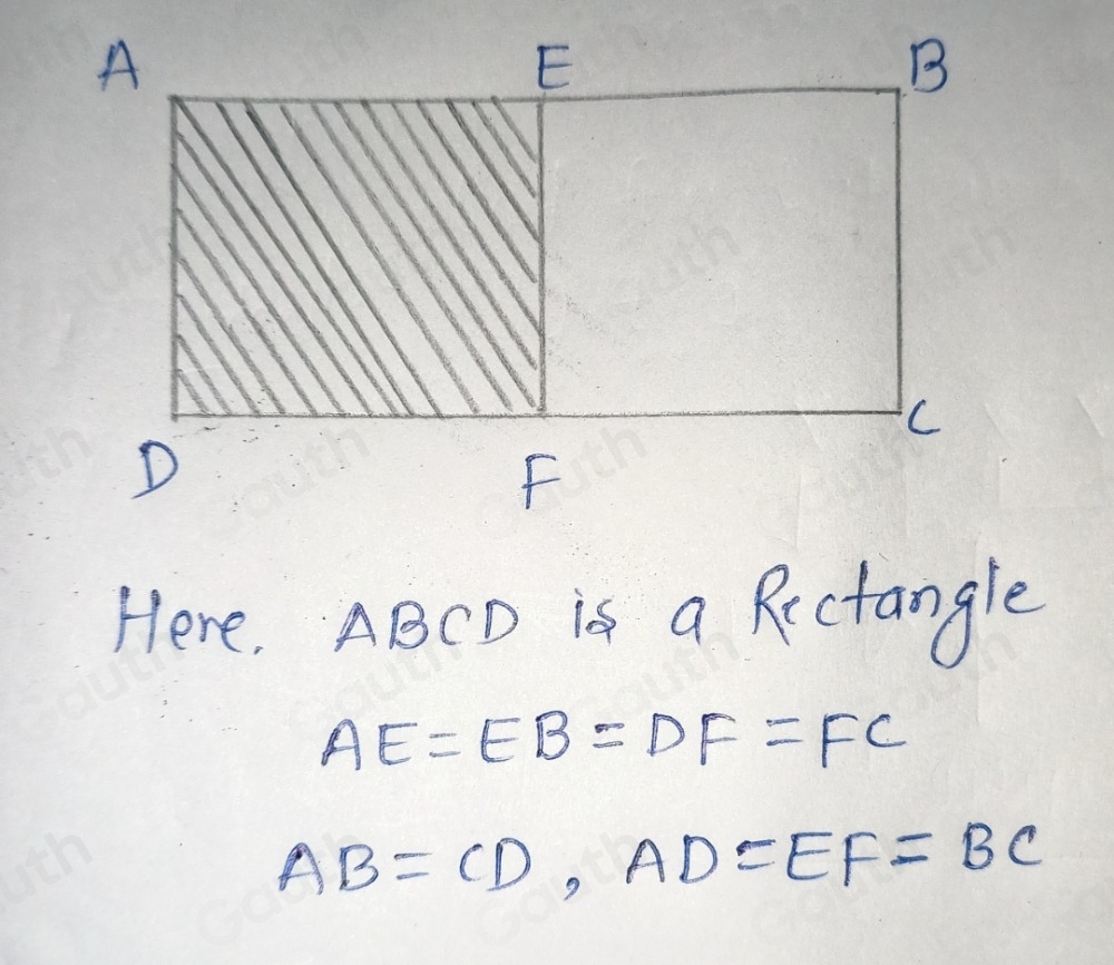 Solved: Draw a rectangle that shows 2 equal parts. Shade 1/2 of the ...