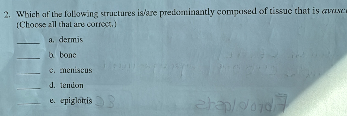 Solved: Which of the following structures is/are predominantly composed ...