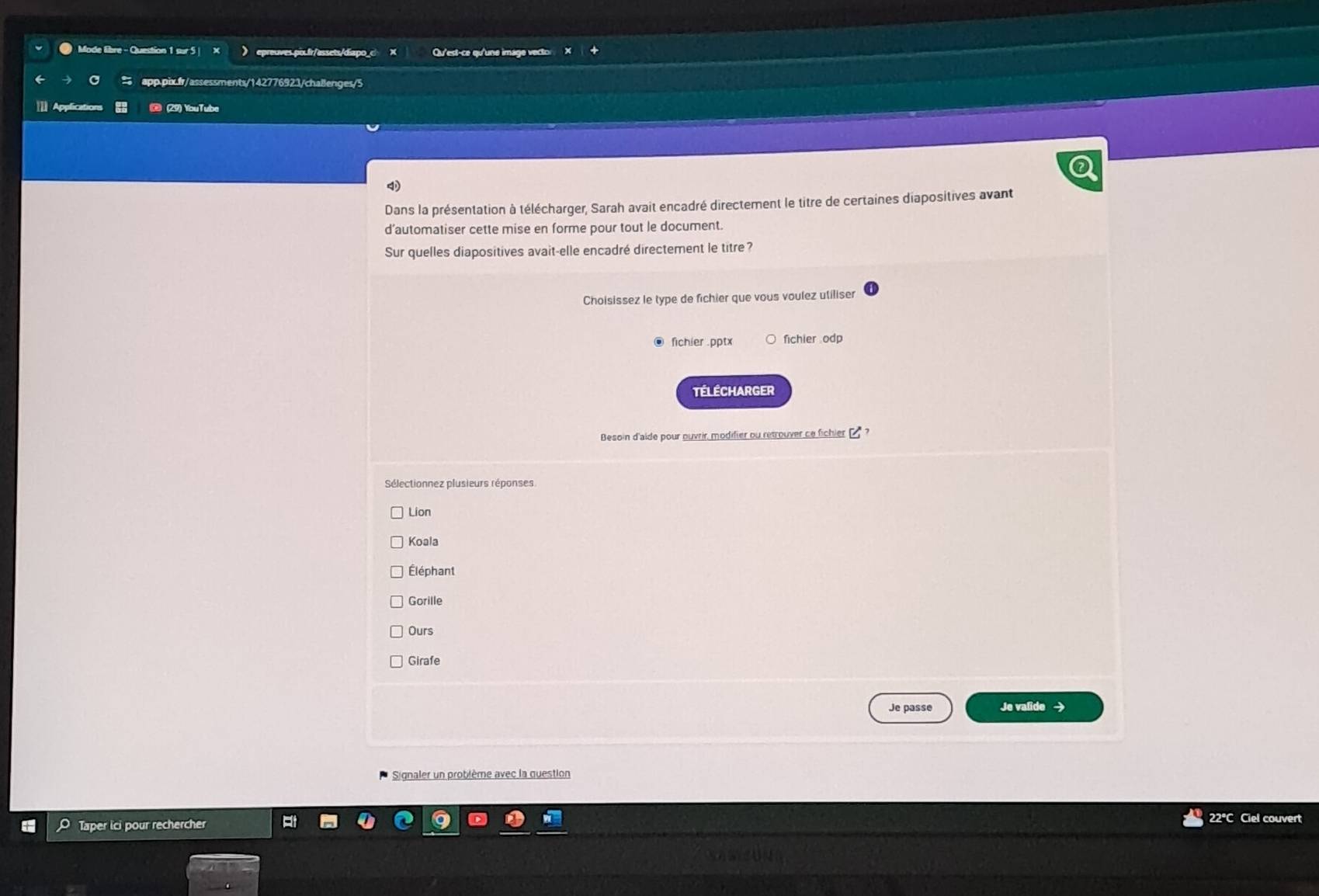 Résolu :Mode libre - Question 1 sur 5| epreuves poufr/essets/diapo_c Qu'est-ce qu'une image vect a