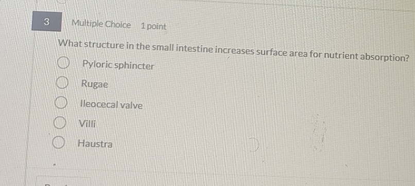 Solved: What structure in the small intestine increases surface area ...