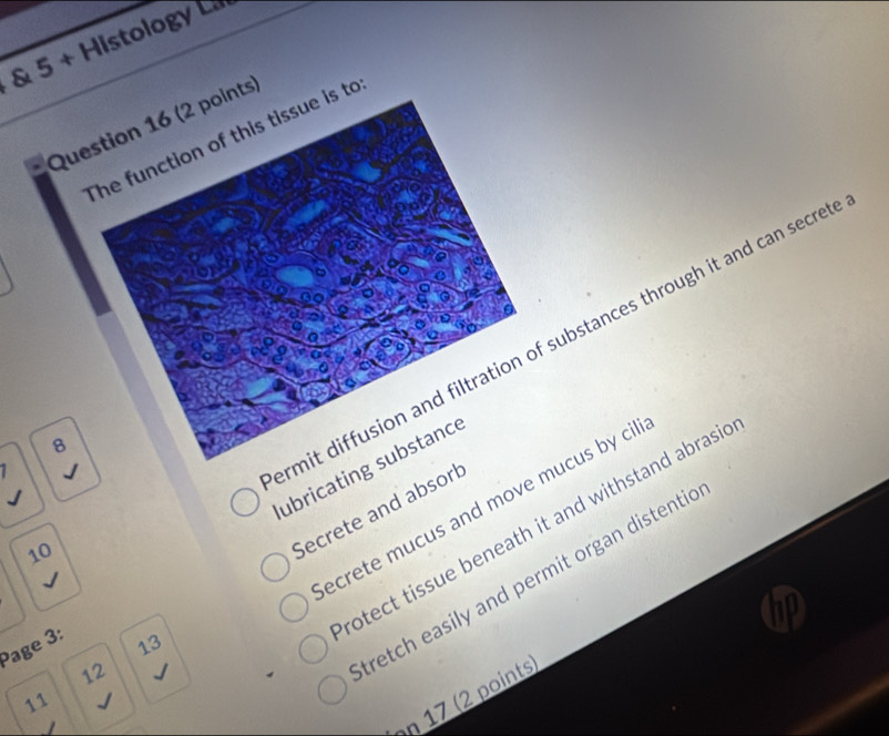 Solved: 9 5 + Histology L