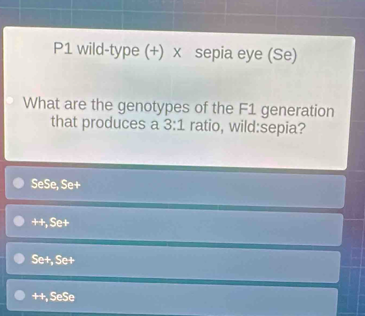 Solved: P1 wild-type (+) x sepia eye (Se) What are the genotypes of the ...