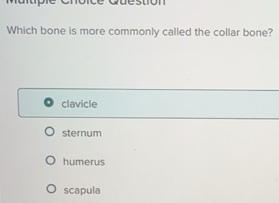 Solved: ston Which bone is more commonly called the collar bone ...