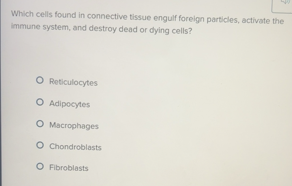 Solved: Which cells found in connective tissue engulf foreign particles ...