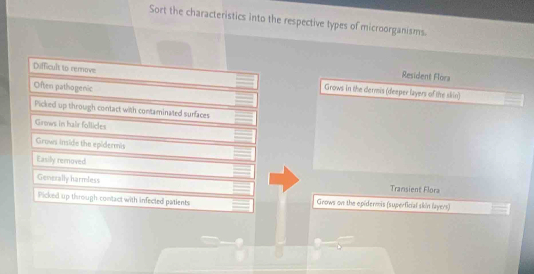 Solved: Sort the characteristics into the respective types of ...