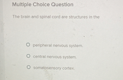 Solved: Question The brain and spinal cord are structures in the peripheral nervous system ...