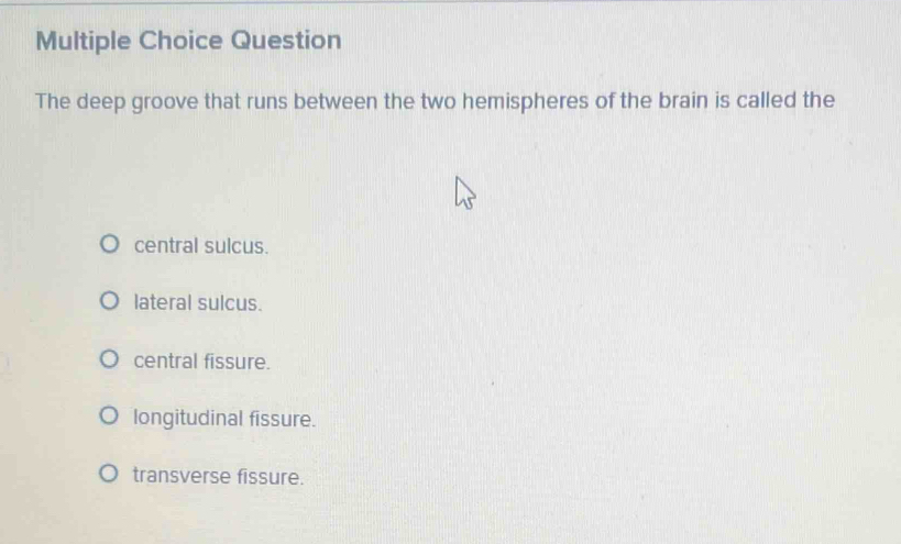 Solved: Question The deep groove that runs between the two hemispheres ...