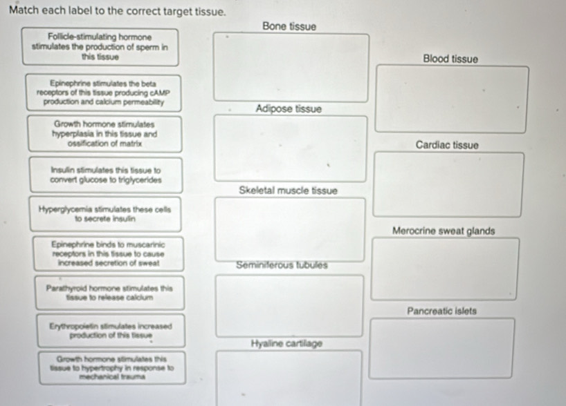 Solved: Match each label to the correct target tissue. Bone tissue ...