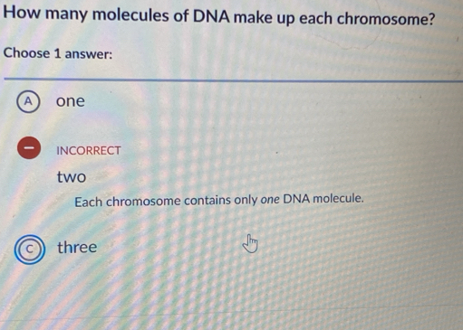 Solved: How many molecules of DNA make up each chromosome? Choose 1 ...