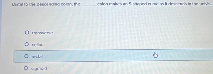 Solved: Distal to the descending colon, the _colon makes an S-shaped ...