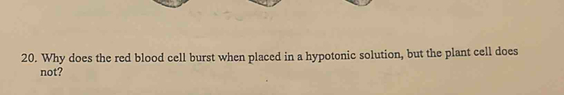 Solved: Why does the red blood cell burst when placed in a hypotonic ...