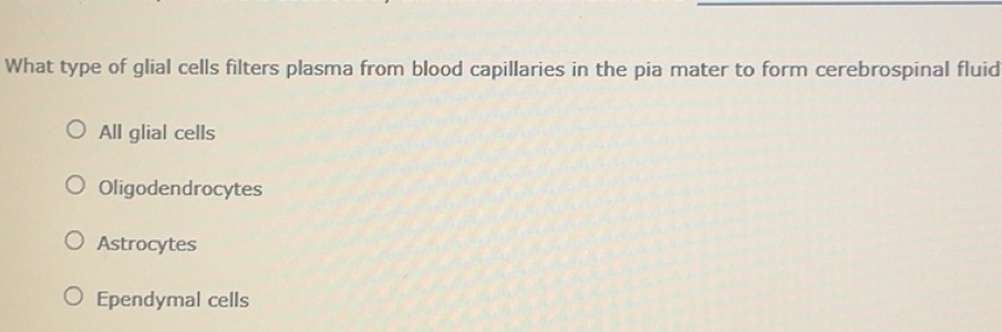 Solved: What type of glial cells filters plasma from blood capillaries ...
