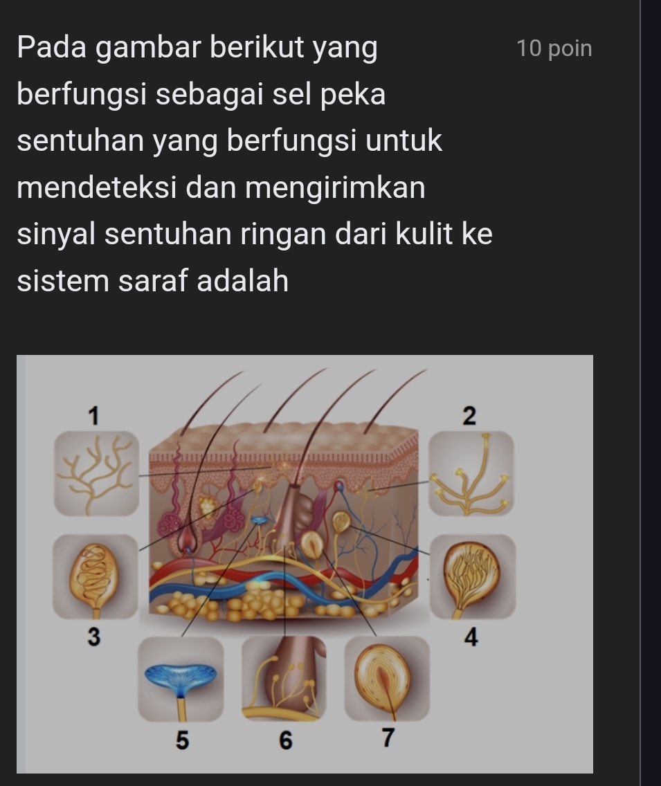 Telah dijawab:Pada gambar berikut yang 10 poin berfungsi sebagai sel ...