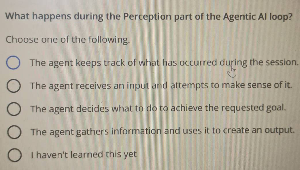 Risolto:What happens during the Perception part of the Agentic AI loop ...