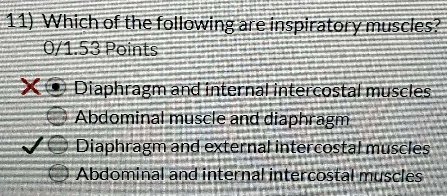 Solved: Which of the following are inspiratory muscles? 0/1.53 Points X ...