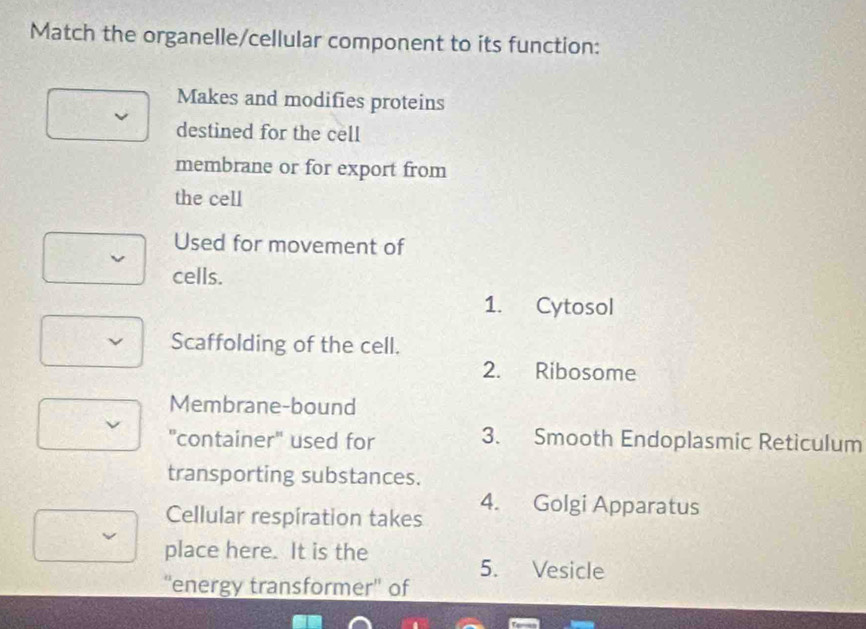 Solved: Match the organelle/cellular component to its function: Makes ...