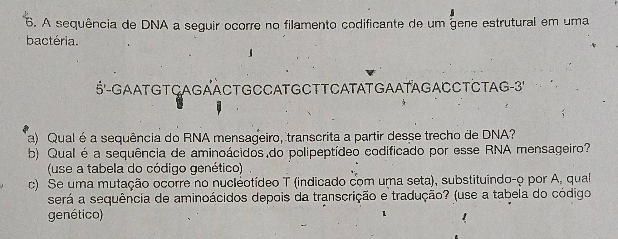 Resolvido:A sequência de DNA a seguir ocorre no filamento codificante ...