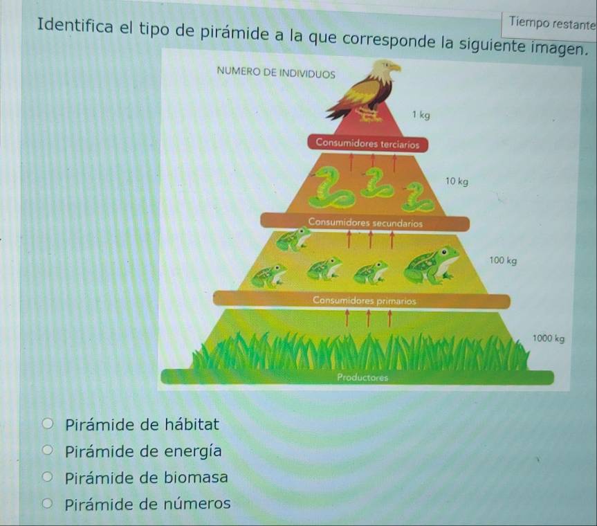 Resuelto:Tiempo restante Identifica el tipo de pirámide a la que ...