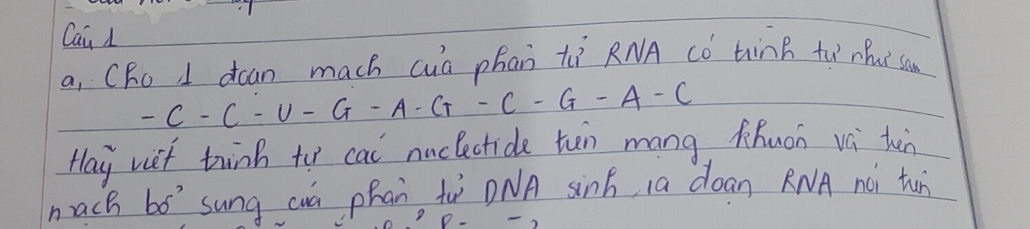 Giải quyết:Can d a, CRo 1 dcan mach cua phan tì RNA có tink tu' rhu san ...