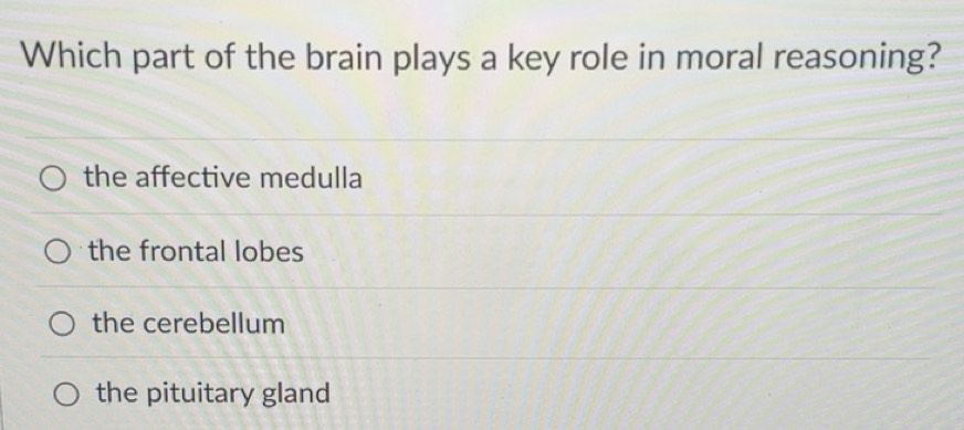 Solved: Which part of the brain plays a key role in moral reasoning ...