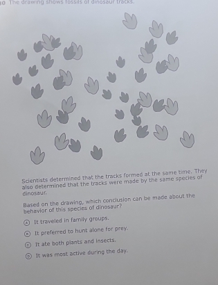 Solved: The drawing shows fossils of dinosaur tracks. Scientists ...