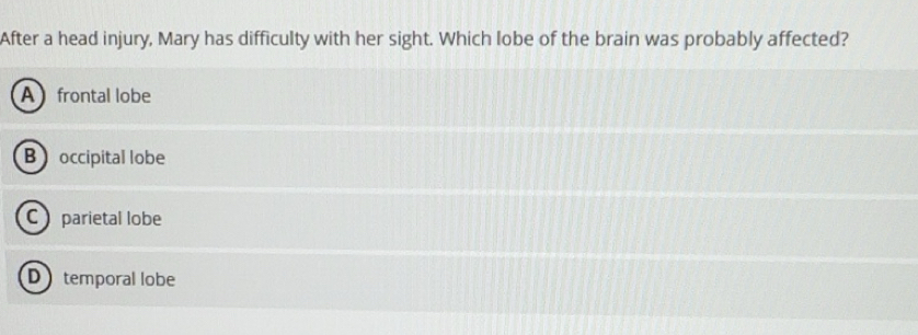 Solved: After a head injury, Mary has difficulty with her sight. Which ...