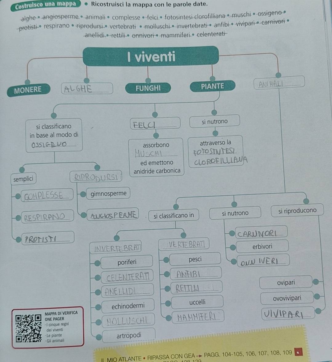 Risolto:Costruisco una mappa Ricostruisci la mappa con le parole date ...