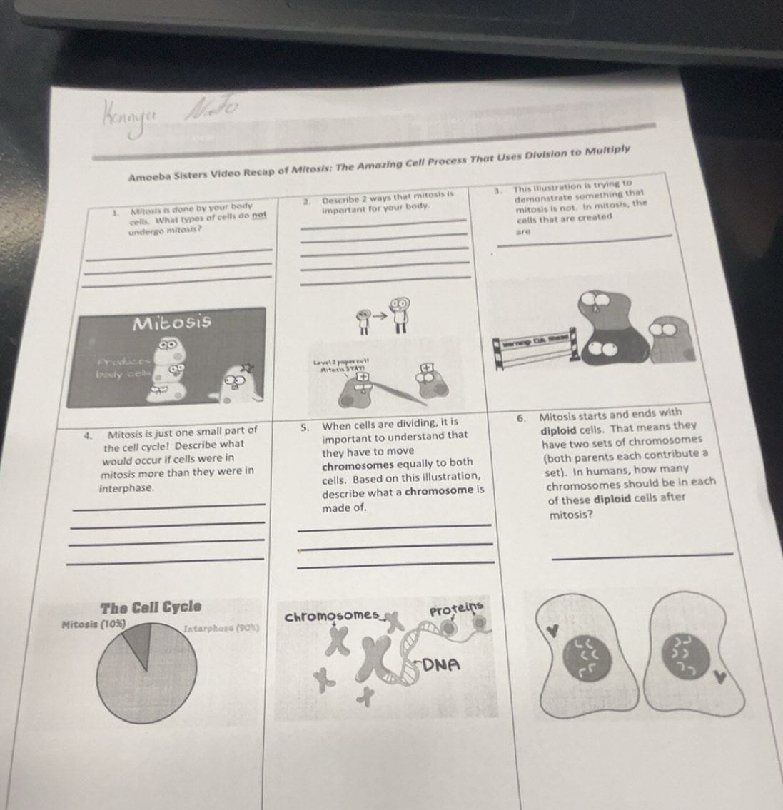 Solved: Amoeba Sisters Video Recap of Mitosis: The Amazing Cell Process ...