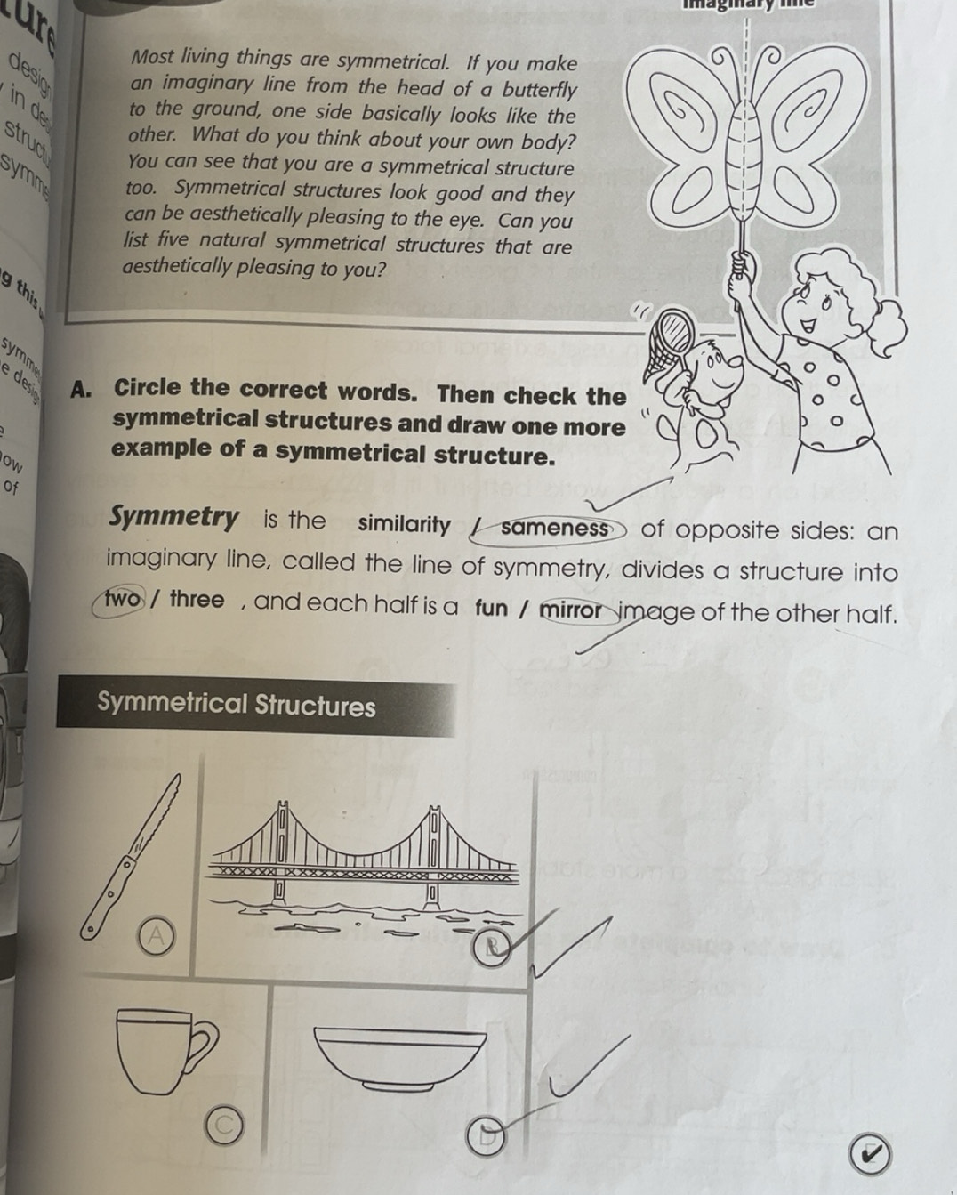 Solved: ur magmary i Most living things are symmetrical. If you make ...