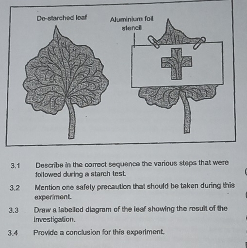 Solved: De-starched leaf Aluminium foil 3.1 Describe in the correct ...