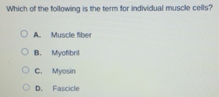 Solved: Which of the following is the term for individual muscle cells ...