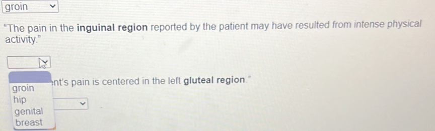 Solved: groin “The pain in the inguinal region reported by the patient ...