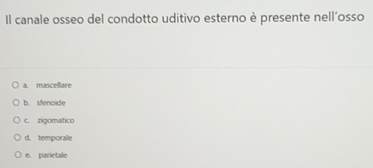 Risolto:Il canale osseo del condotto uditivo esterno è presente nell ...
