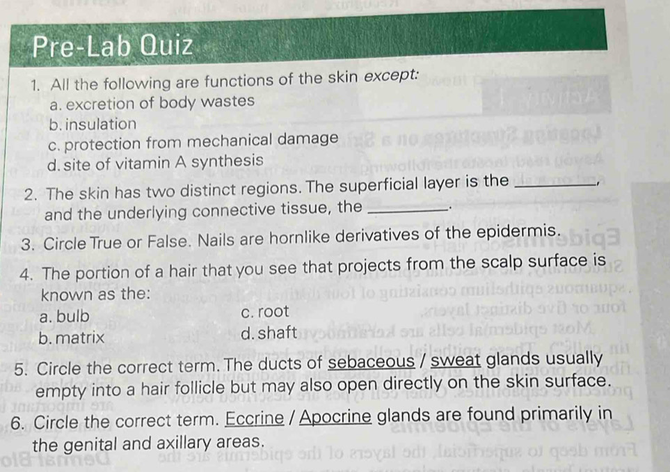 Solved: Pre-Lab Quiz 1. All the following are functions of the skin ...