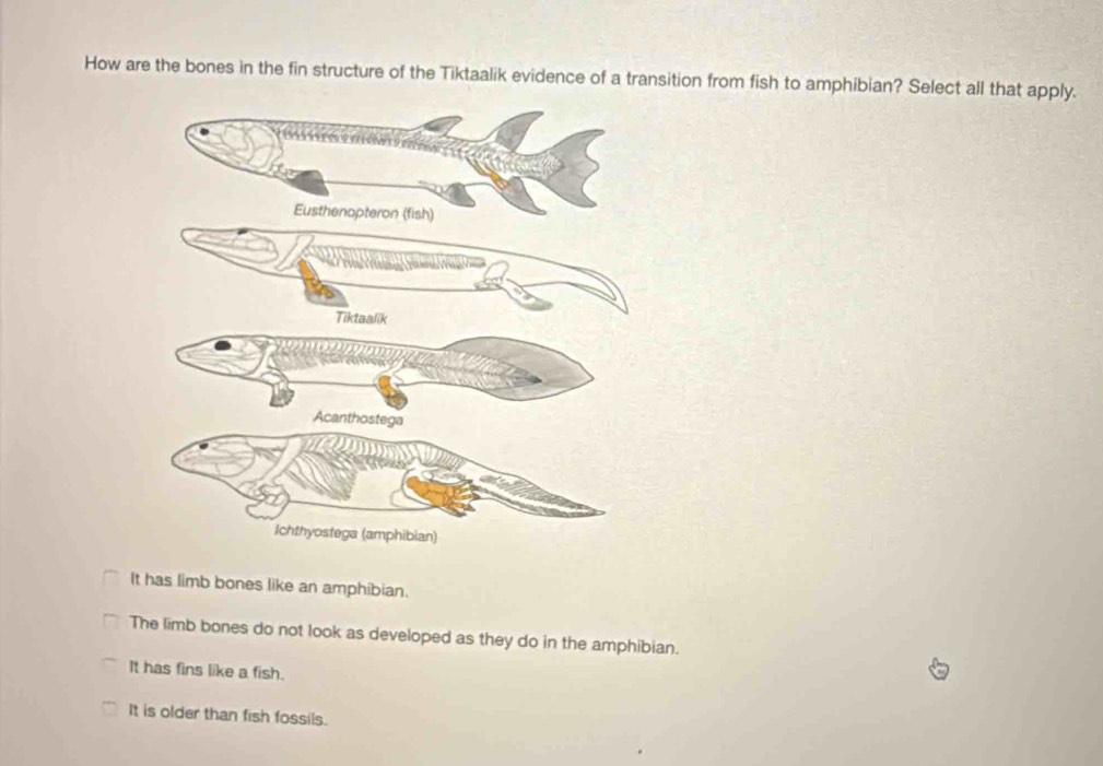 Solved: How are the bones in the fin structure of the Tiktaalik ...